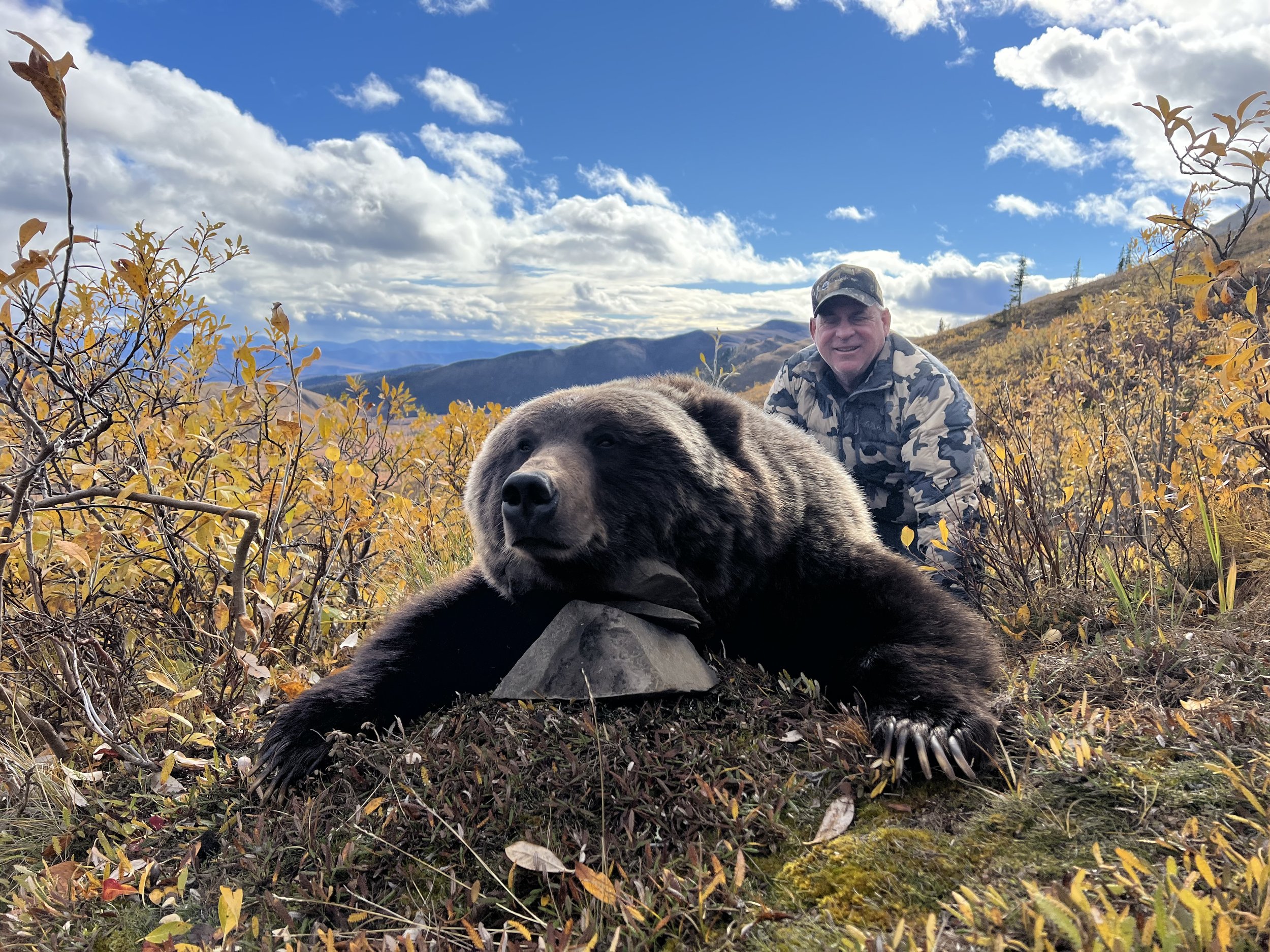 Guided Grizzly Bear Hunts in The Yukon | Yukon Grizzly Hunting ...