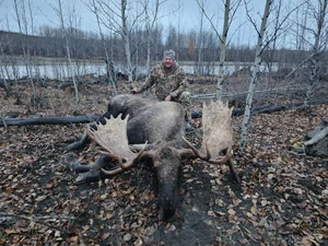Alaska-Yukon Moose Hunts | Guided Moose Hunts in The Yukon — Blackstone ...