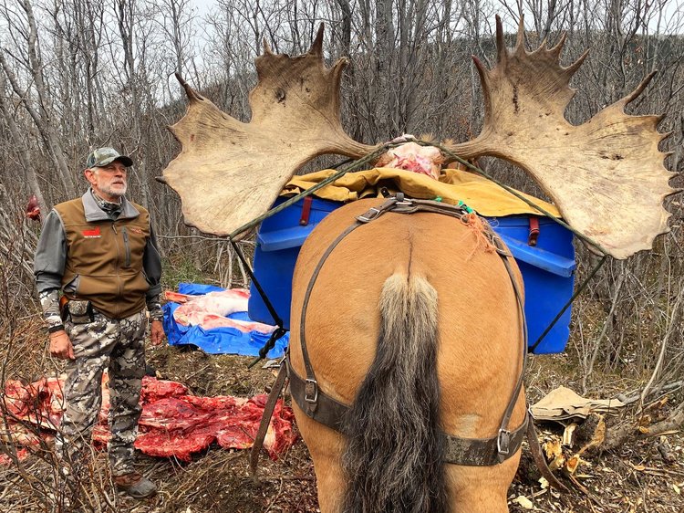 Alaska-Yukon Moose Hunts | Guided Moose Hunts in The Yukon — Blackstone ...