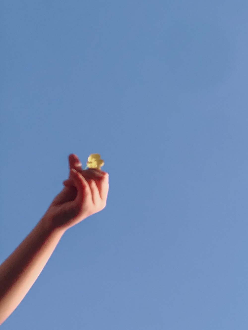 Remote Photography — Heartstring Heirlooms