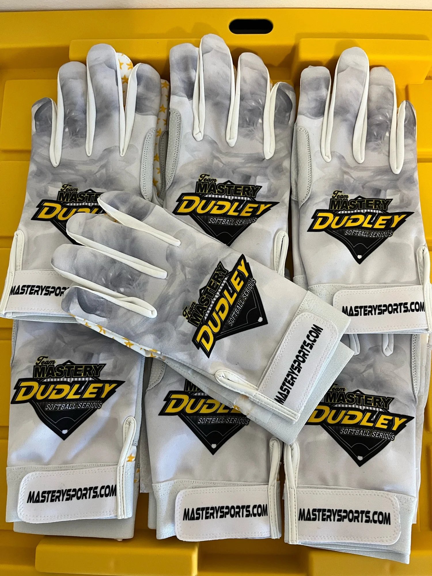 Store — Mastery Sports