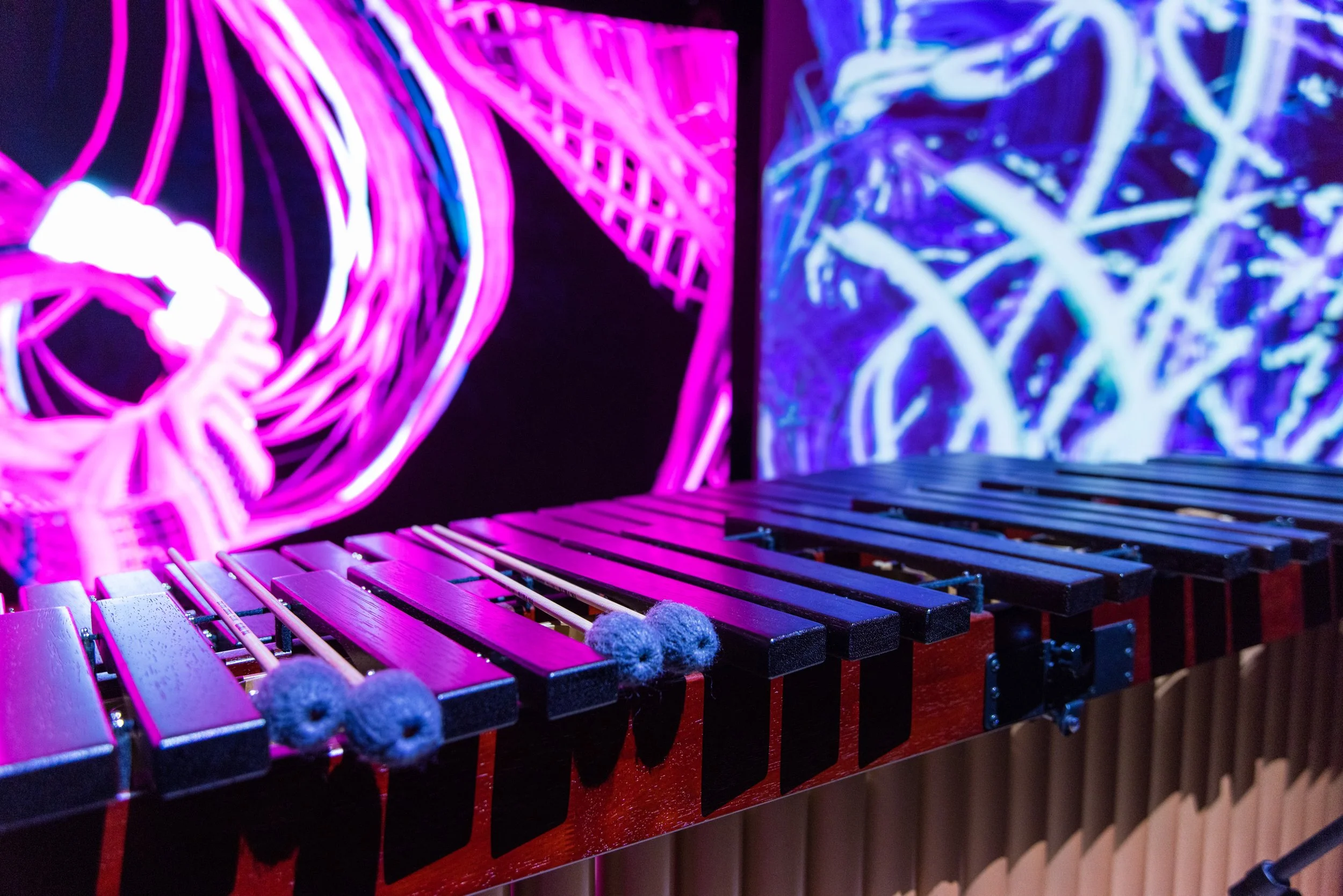 MF Dynamics — Maria Finkelmeier