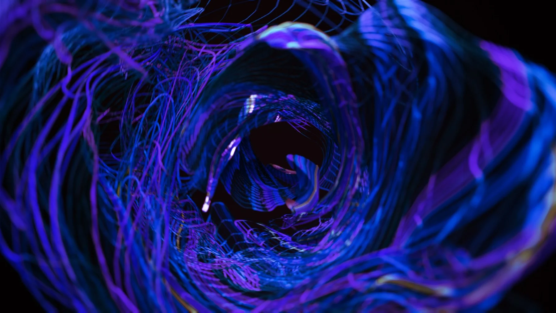 MF Dynamics — Maria Finkelmeier