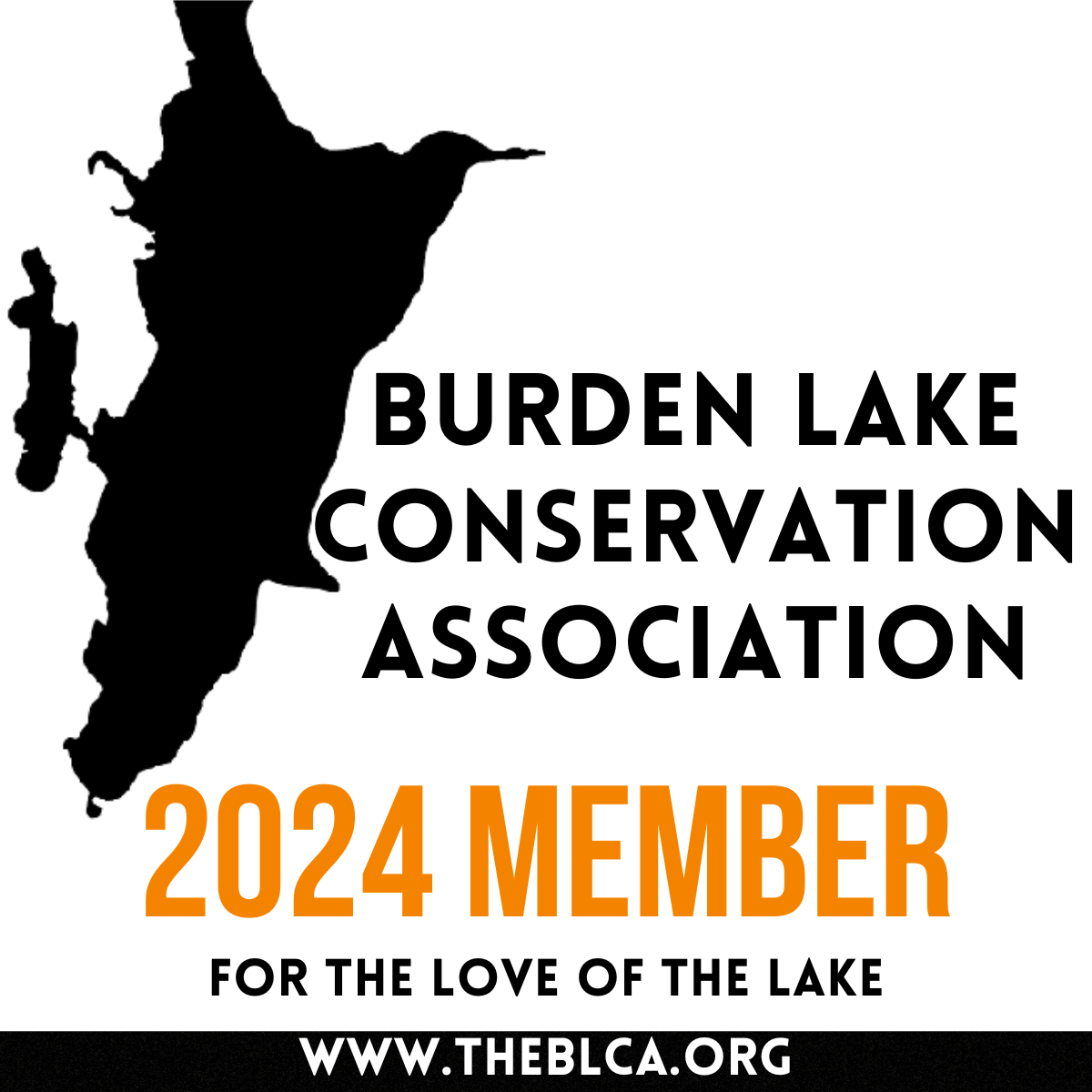 Projects — Burden Lake Conservation Association