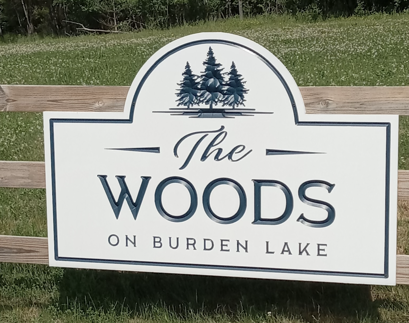 Projects — Burden Lake Conservation Association
