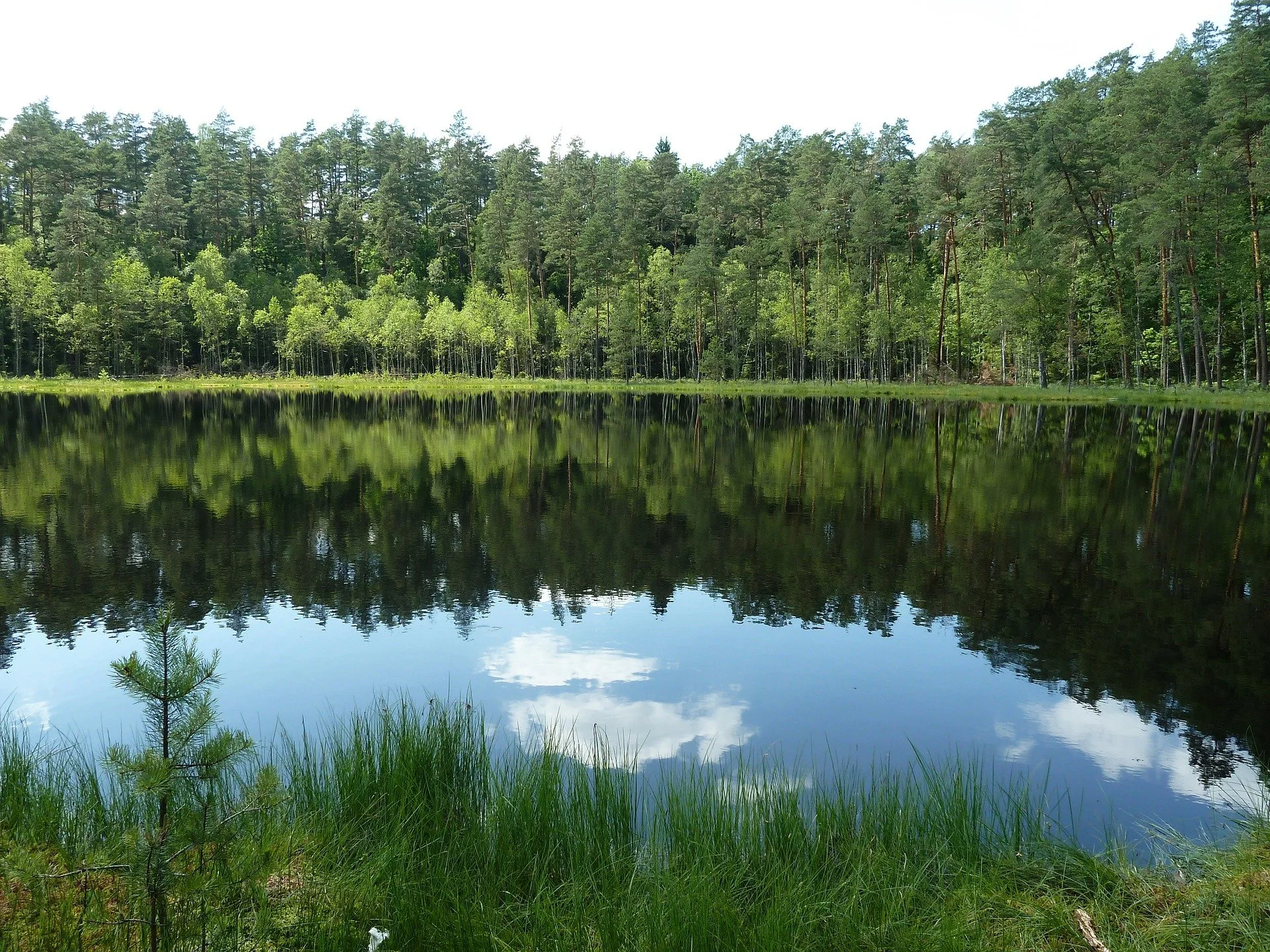 Burden Lake Conservation Association, Inc