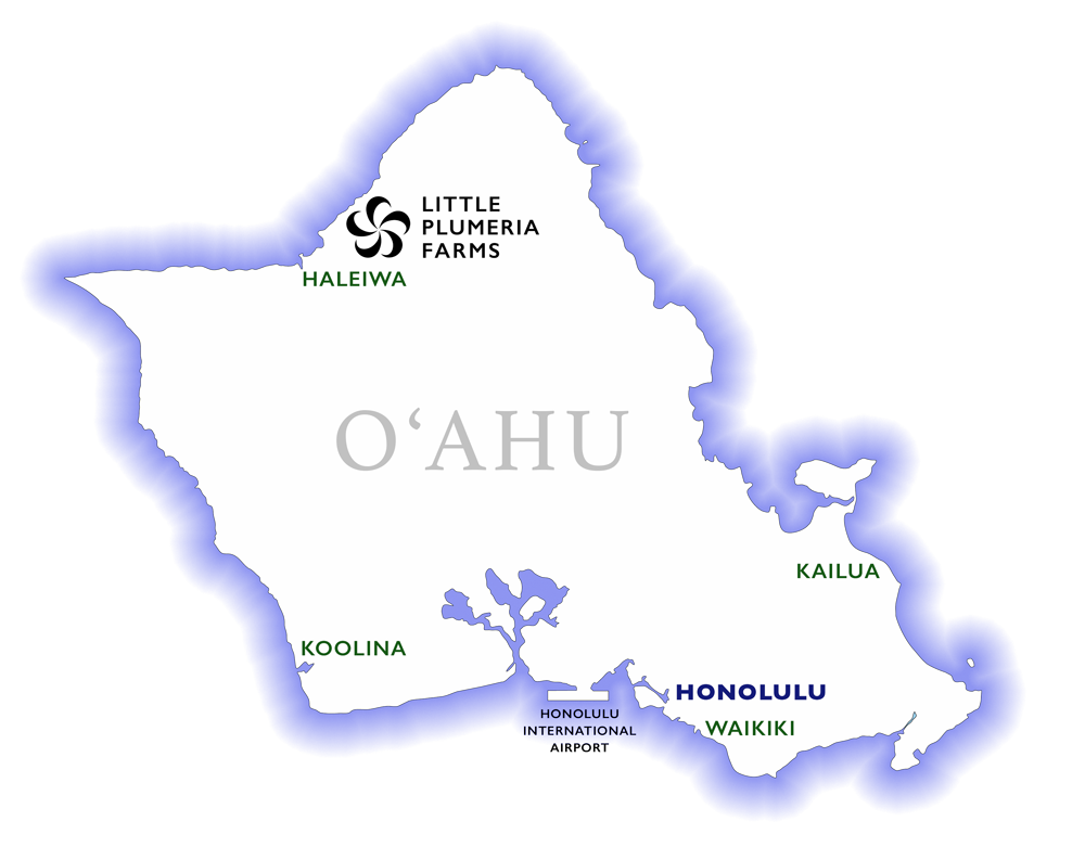 Contact — Little Plumeria Farms