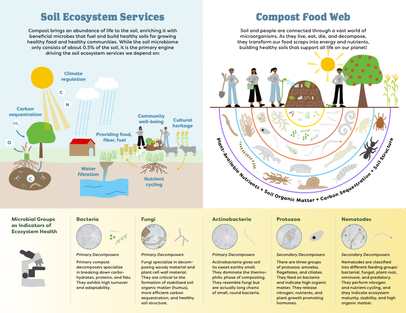 Microscopy Guide —LA COMPOST