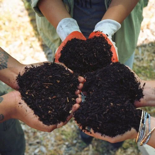 Community Microscopy Workshops —LA COMPOST