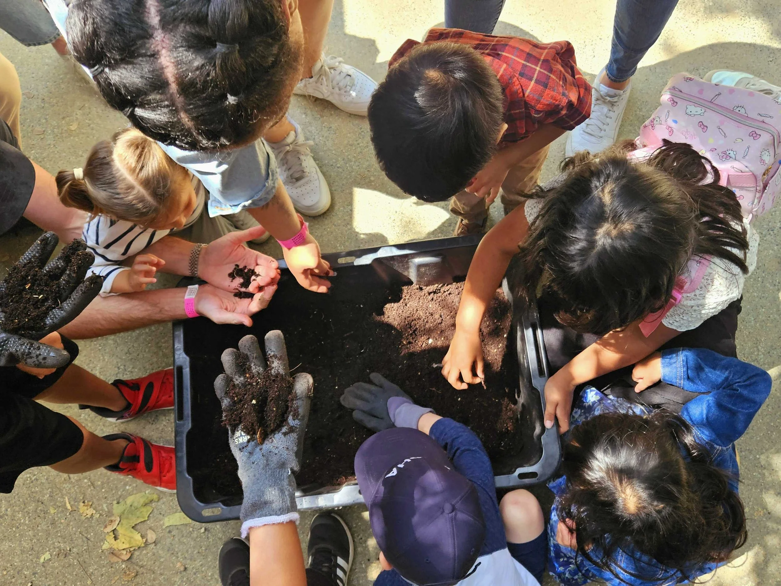 General 1 —LA COMPOST