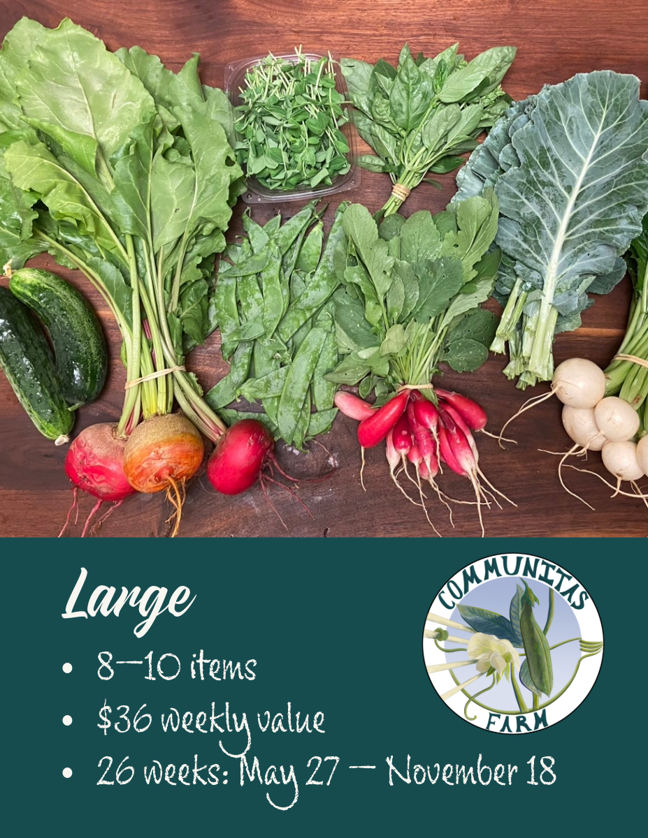 Large CSA Share — Communitas Farm