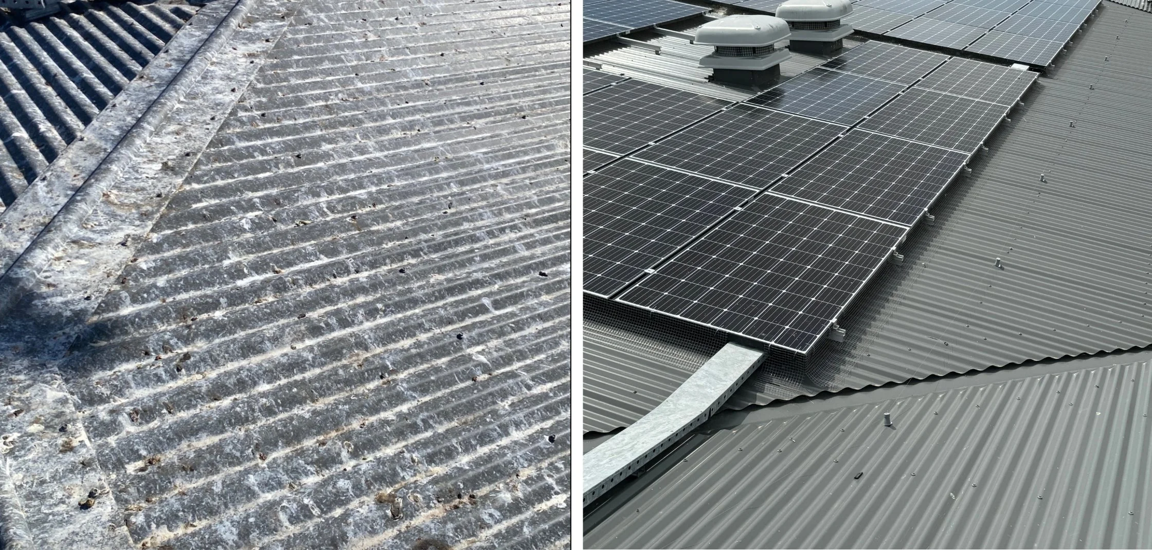 Flock Off Australia & New Zealand: Bird Control Technology