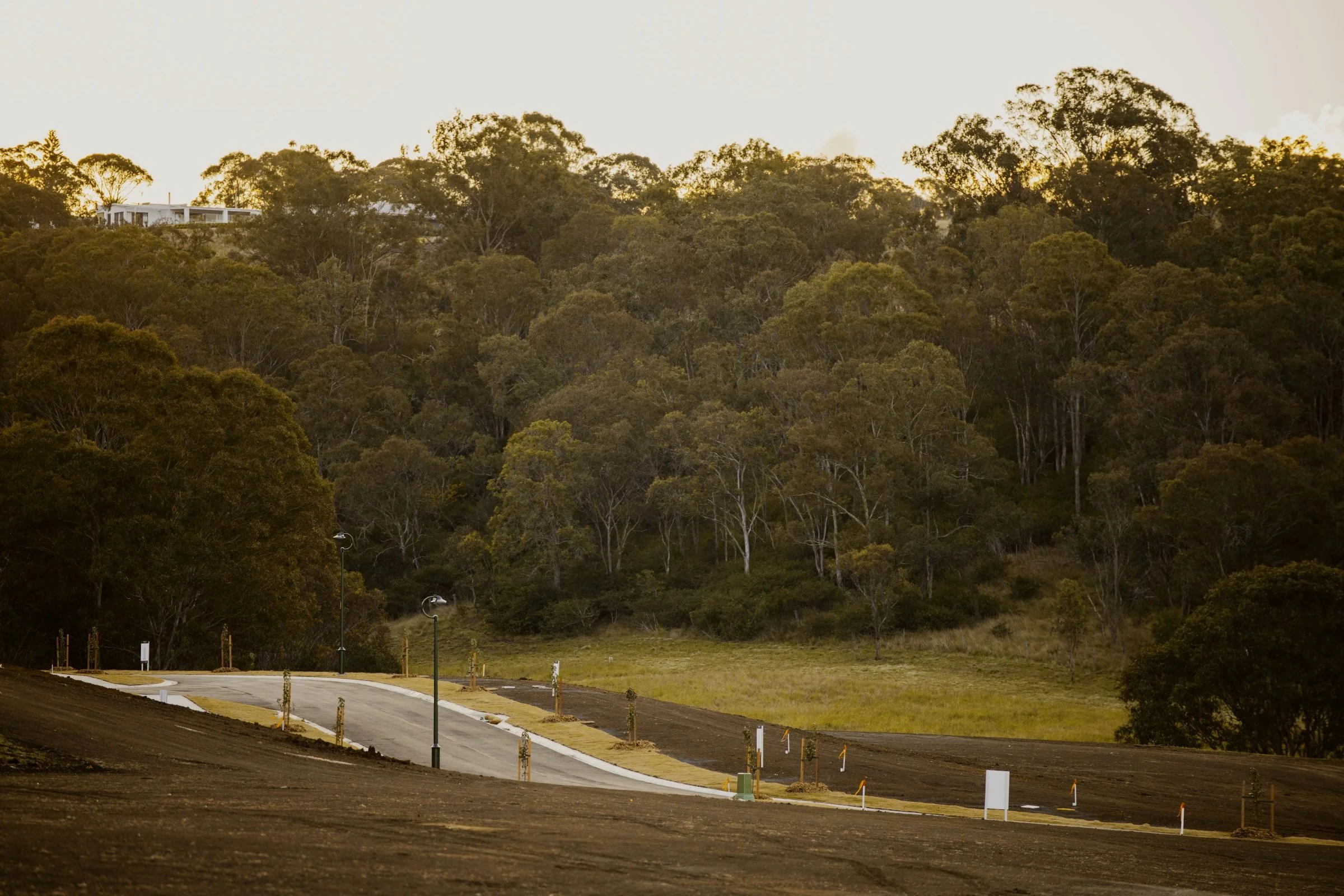 Tallowood Estate | Lots