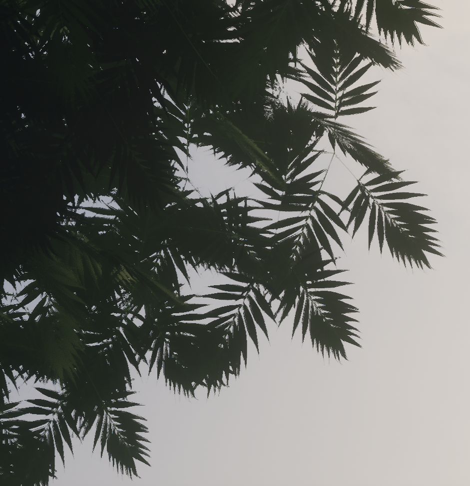 Optimum Realism