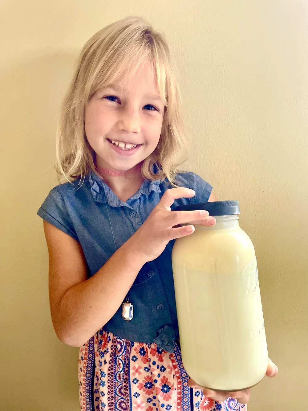 Raw Milk — Wholesome Family Farms