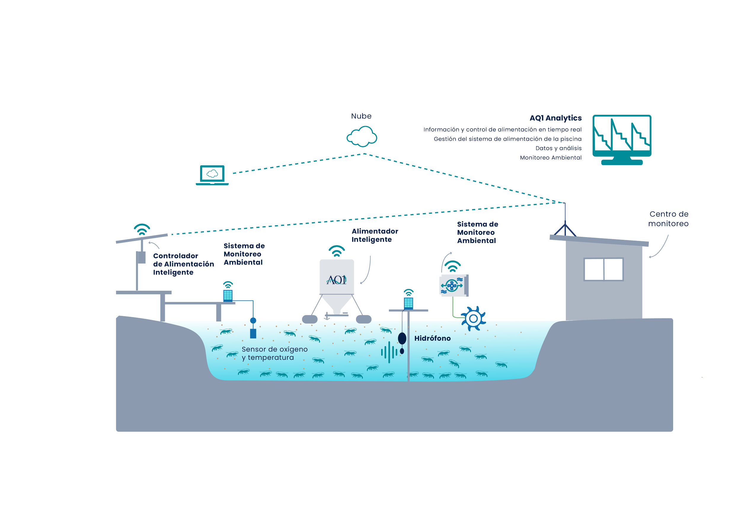 Sistema de Alimentación Sónica — AQ1 Systems