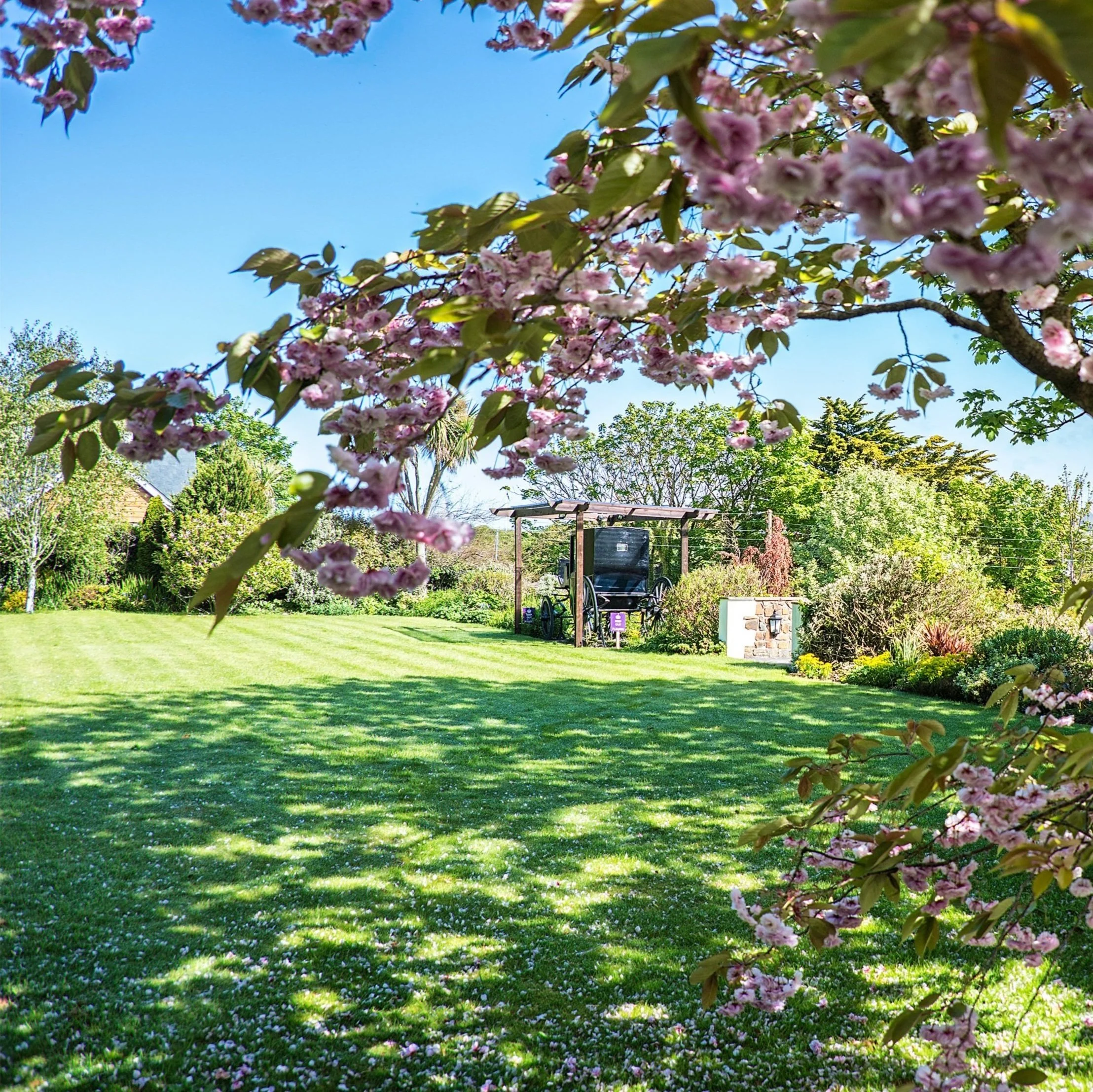 Stay at The Falcon Hotel — Falcon Hotel