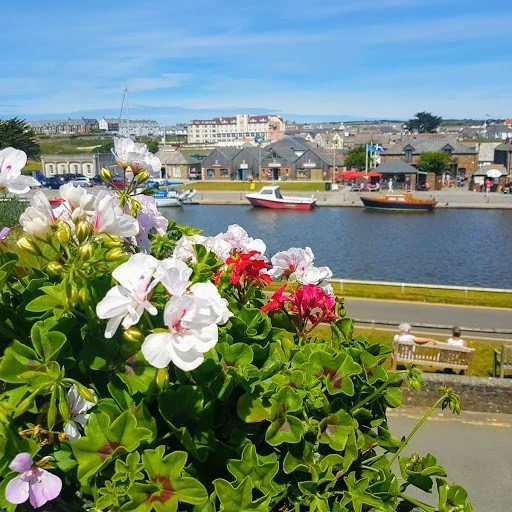 Stay at The Falcon Hotel — Falcon Hotel