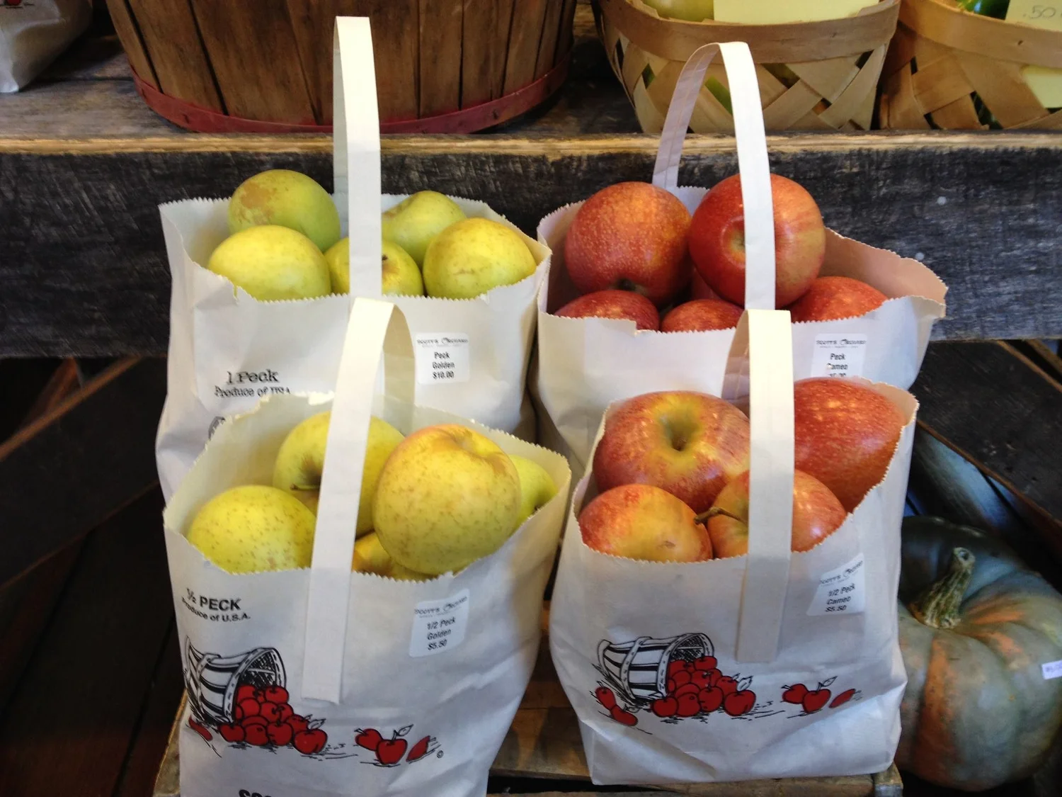 Photo Gallery of the market through the seasons — The Greene Street Market