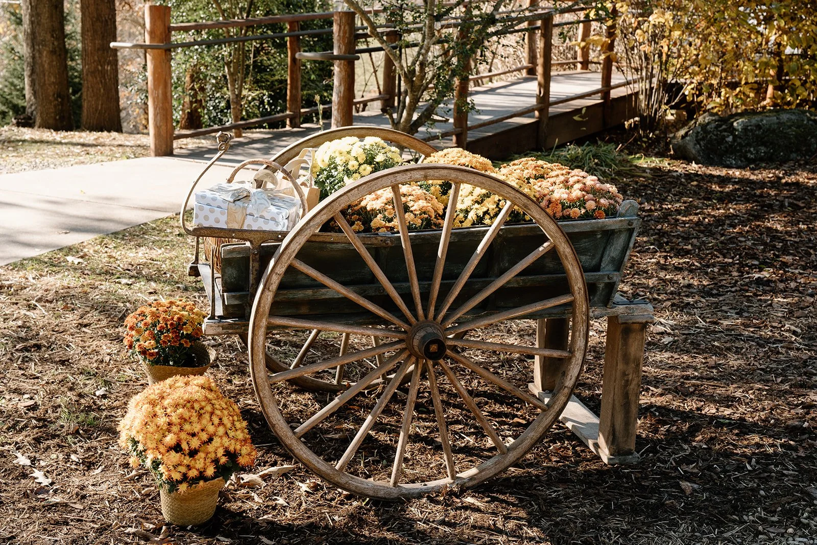 Mountain View Weddings with Indoor & Outdoor Spaces — Yesterday Spaces