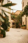 The Complete Guide to the S1 Form in France: Requirements, Benefits ...