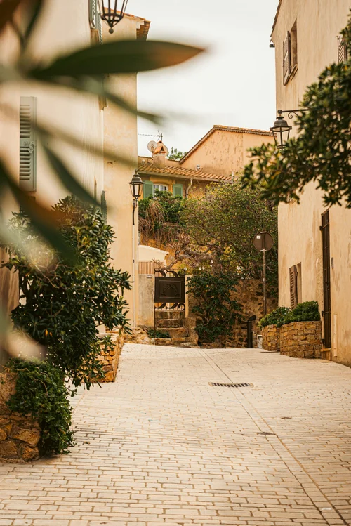 The Complete Guide to the S1 Form in France: Requirements, Benefits ...