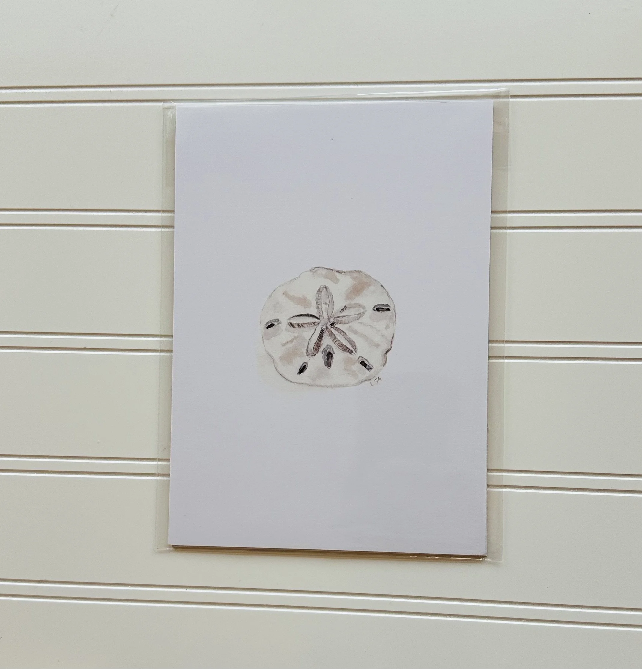 Sand dollar print-5x7 — LSA-studio