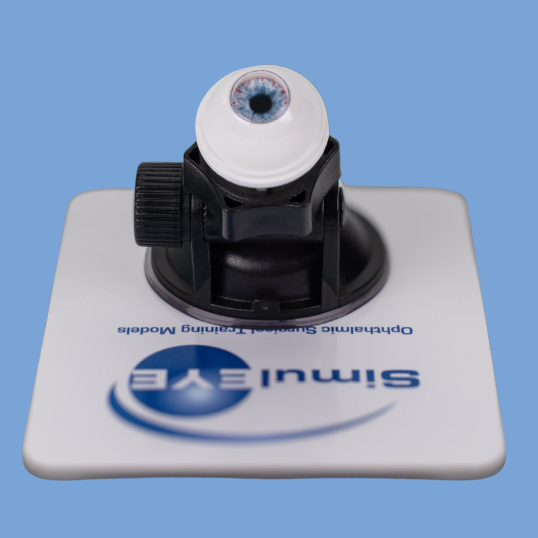 SimulEYE® Hydrus (Full Cornea) — SimulEYE