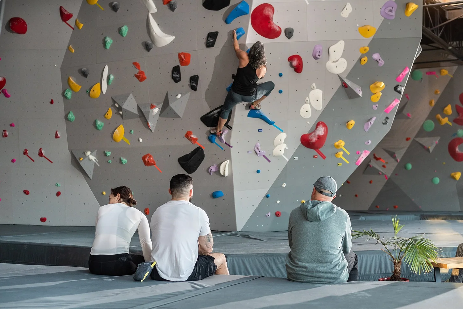 Pricing & Membership — Ascent New Haven
