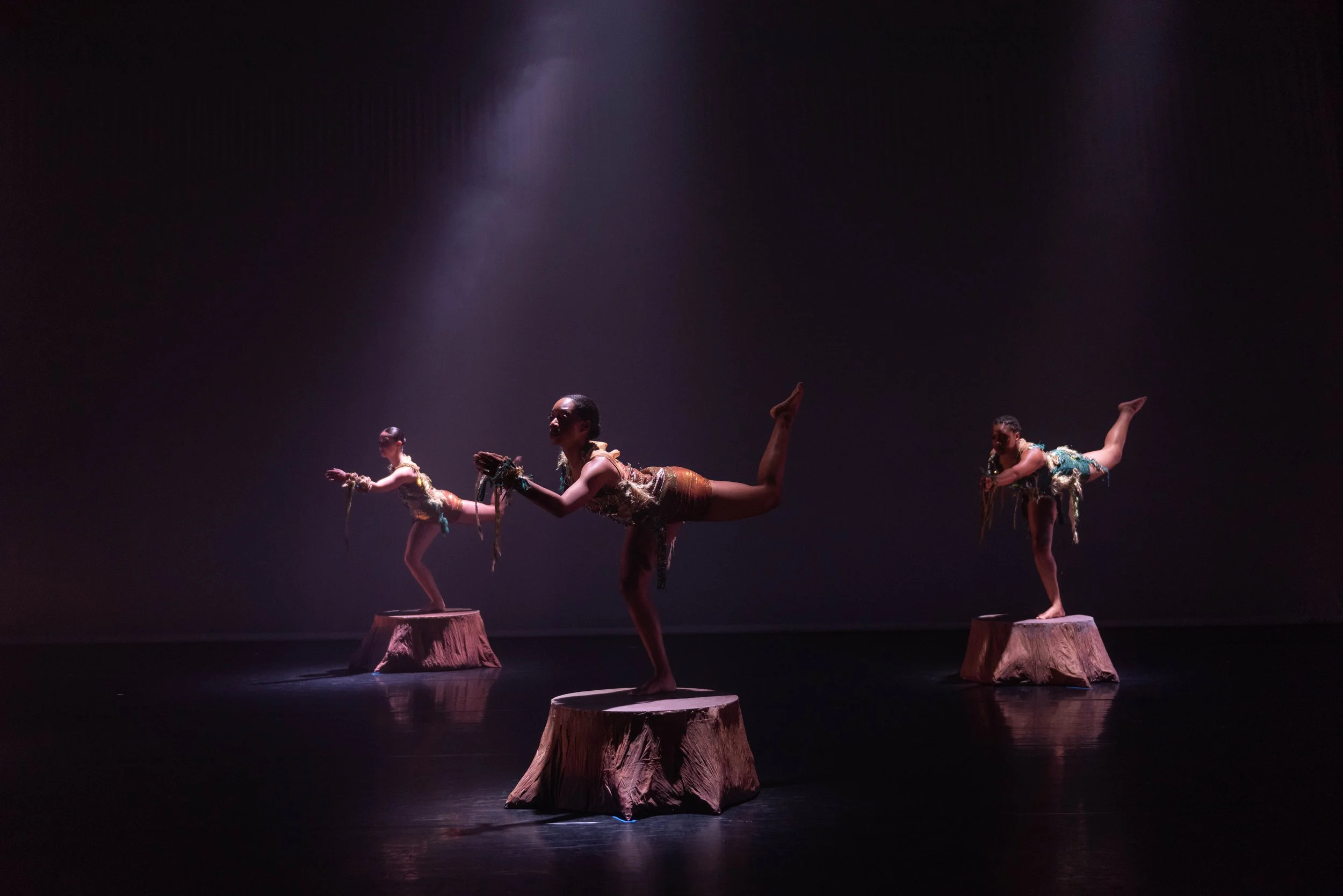 The Companies — CHICAGO BLACK DANCE LEGACY PROJECT