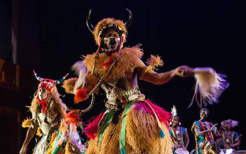 The Companies — CHICAGO BLACK DANCE LEGACY PROJECT