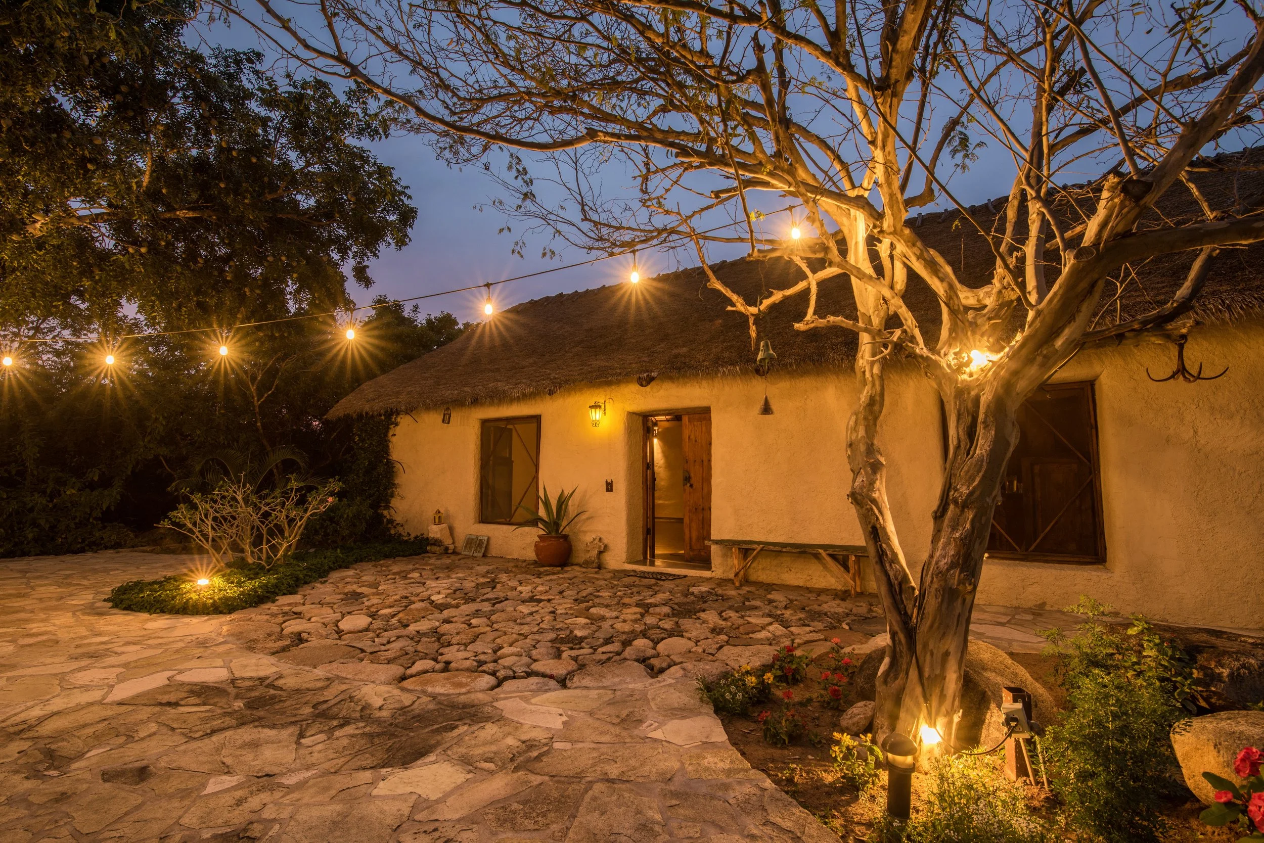 El Pedregal
