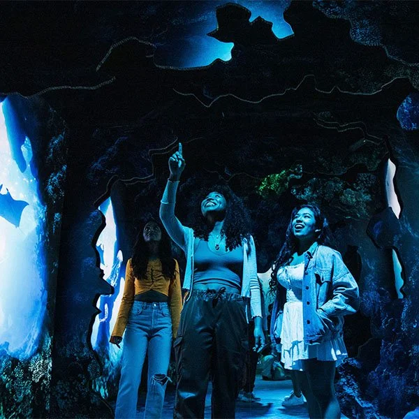 About Us — Arcadia Earth Toronto