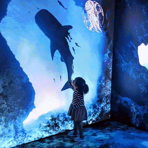 About Us — Arcadia Earth Toronto