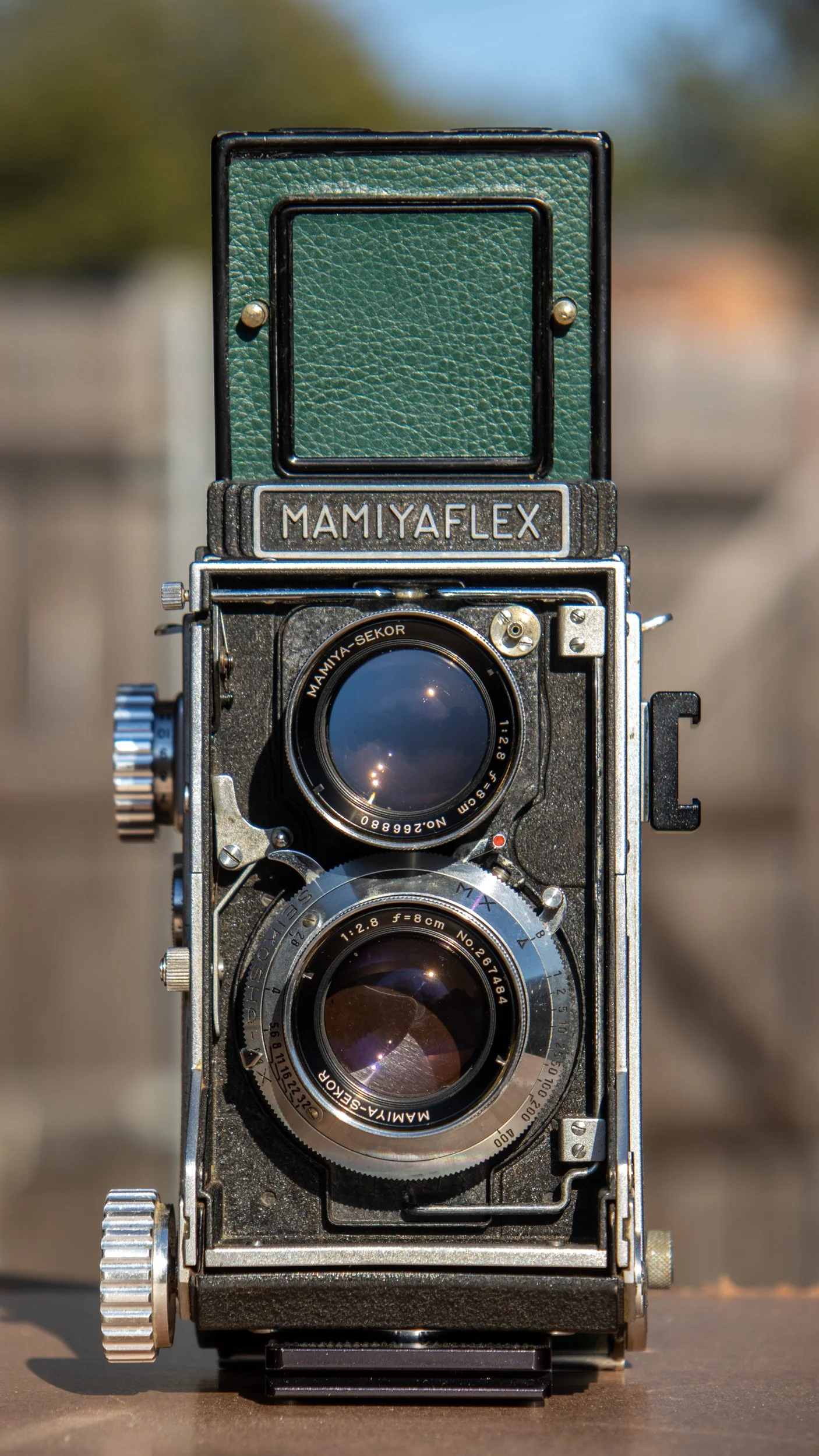 Mamiyaflex C Professional — PHIL CLARK