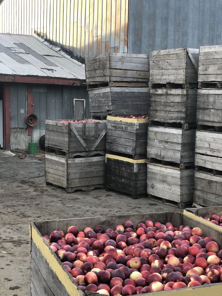 Vermont Cider Lab | Essex Vermont | Cidery and Tasting Room
