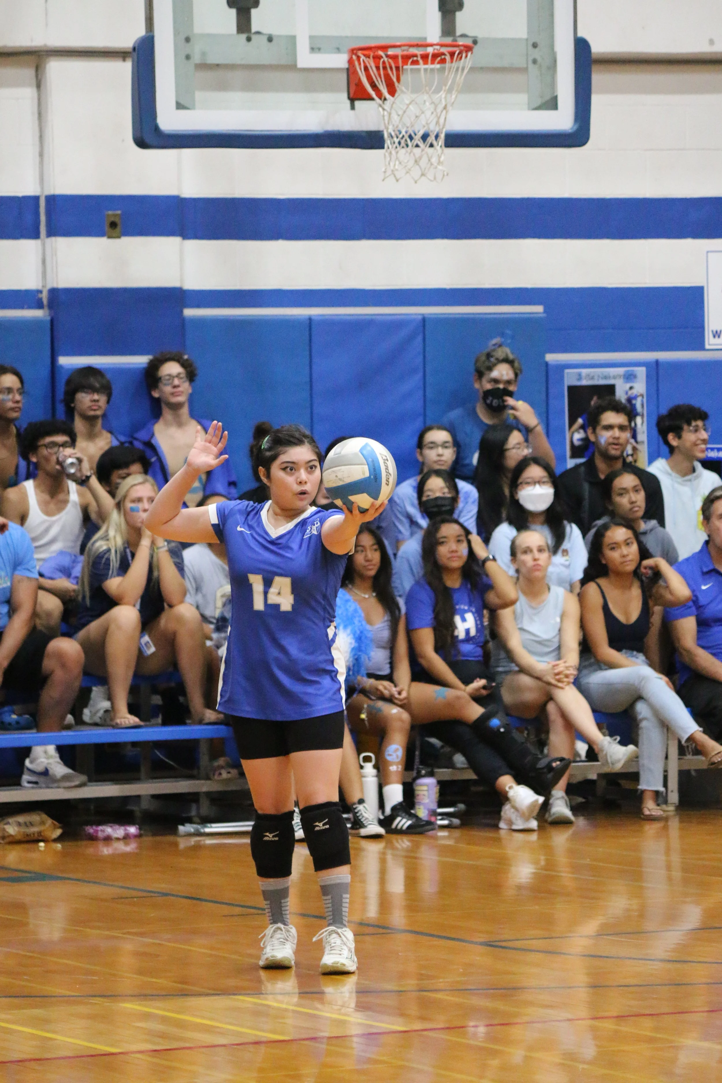 Hawaiian Mission Academy