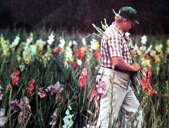 Our Story — The Flowerman