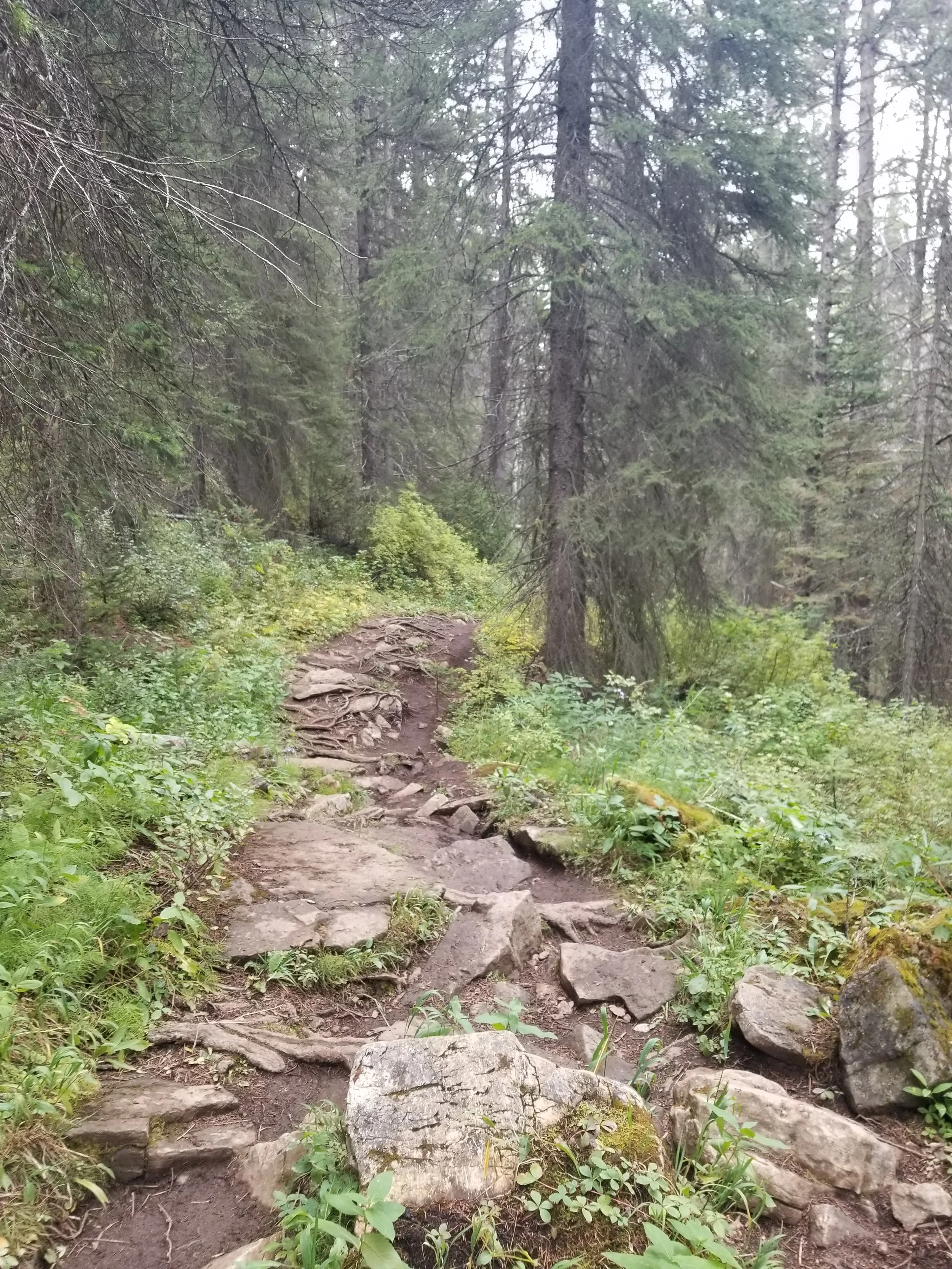 Paget Lookout/Peak, Yoho National Park — Michelle Outdoors