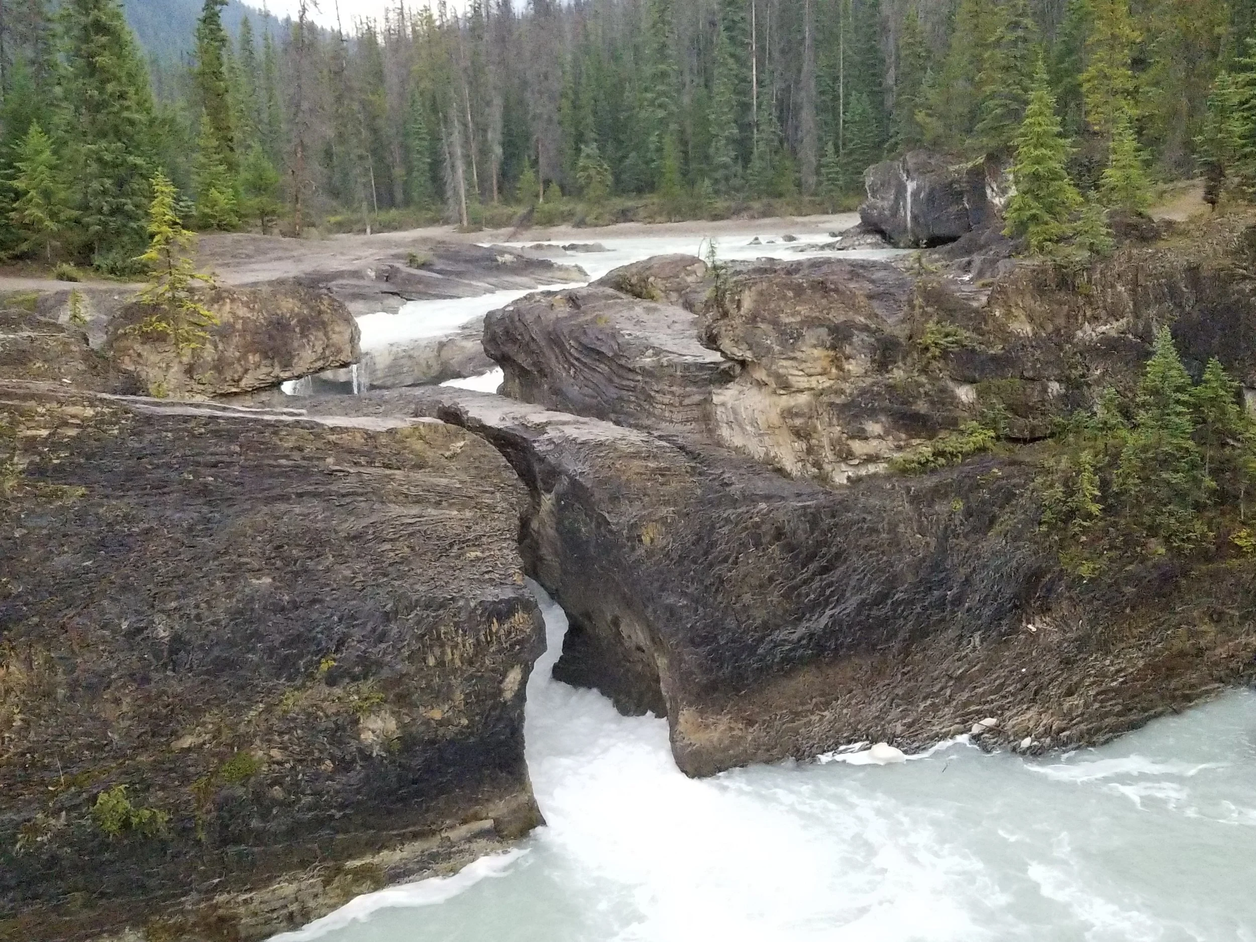 A Beginners Guide: Yoho National Park — Michelle Outdoors