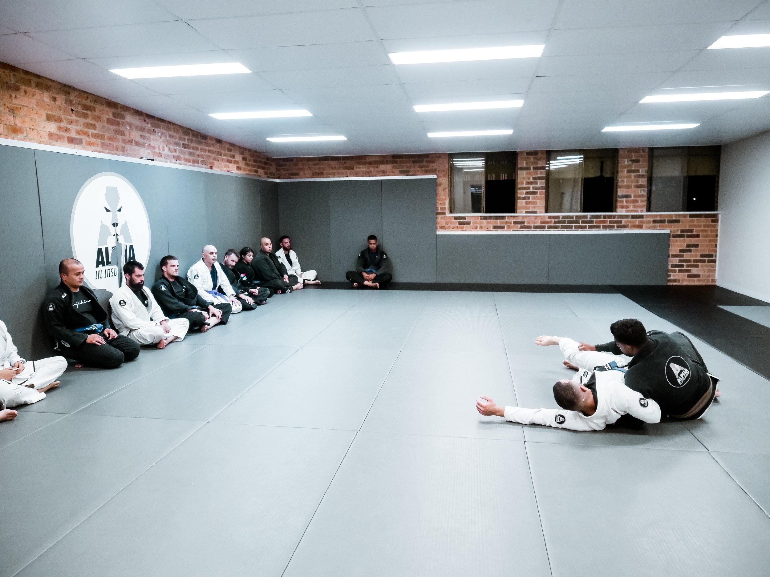 Appointments 3 — Five Rings Jiu Jitsu Academy