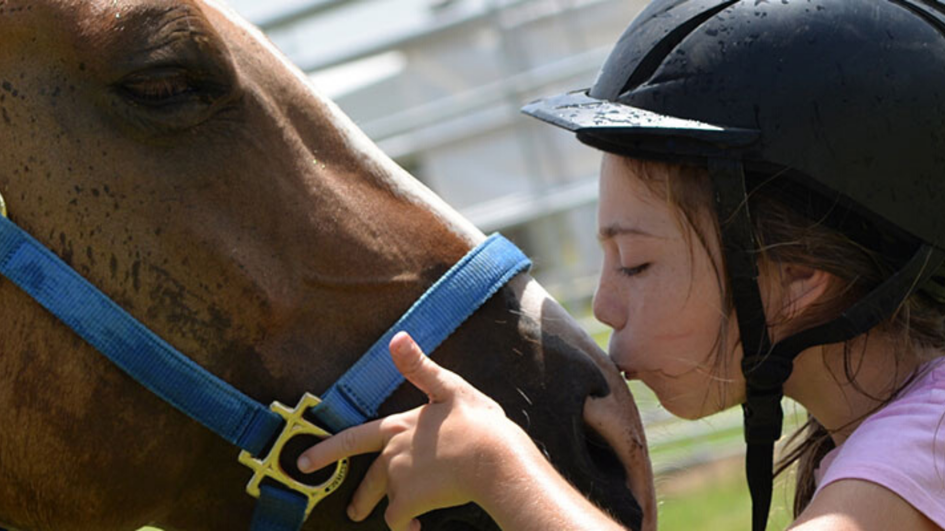 A Visit to Blue Sky Therapeutic Riding & Respite — The Seed Project ...