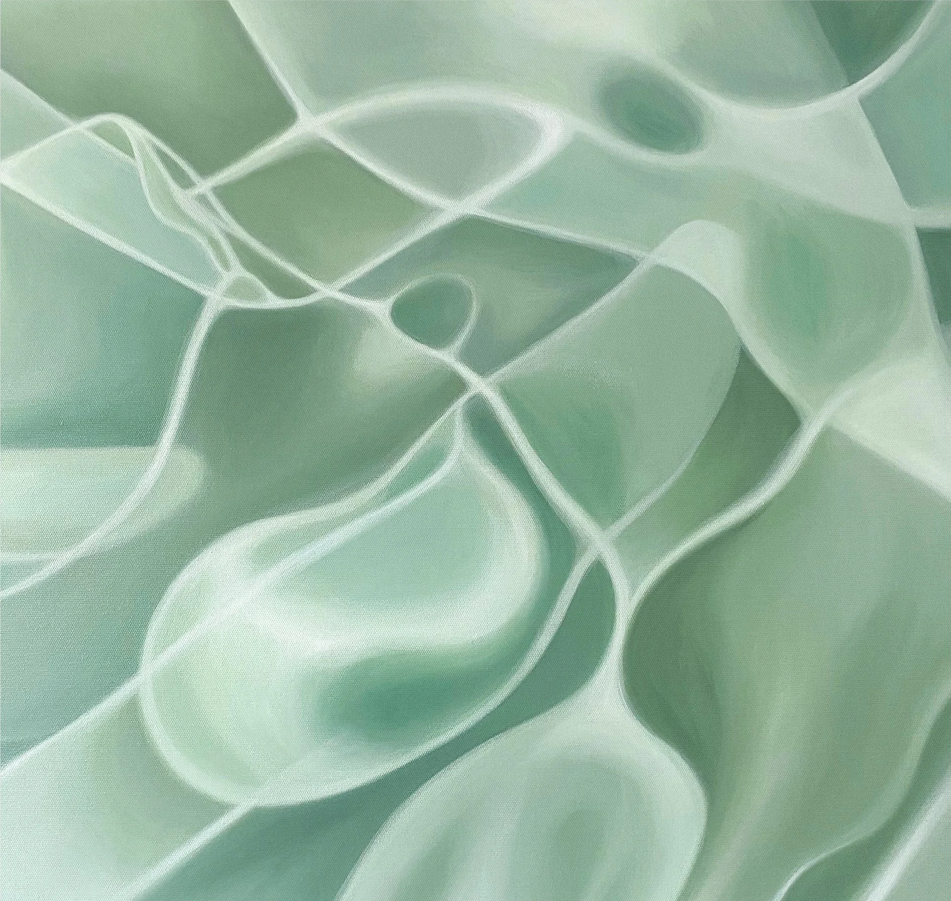 Morgan Paige | New Zealand Artist