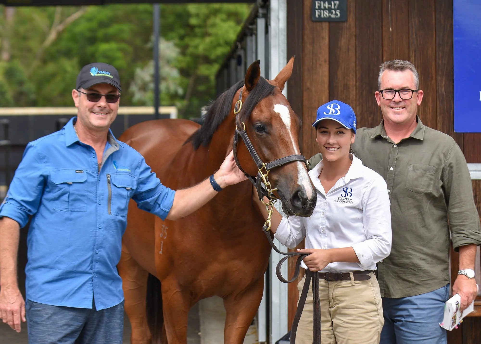 A Foxy Filly — Vardy Thoroughbreds