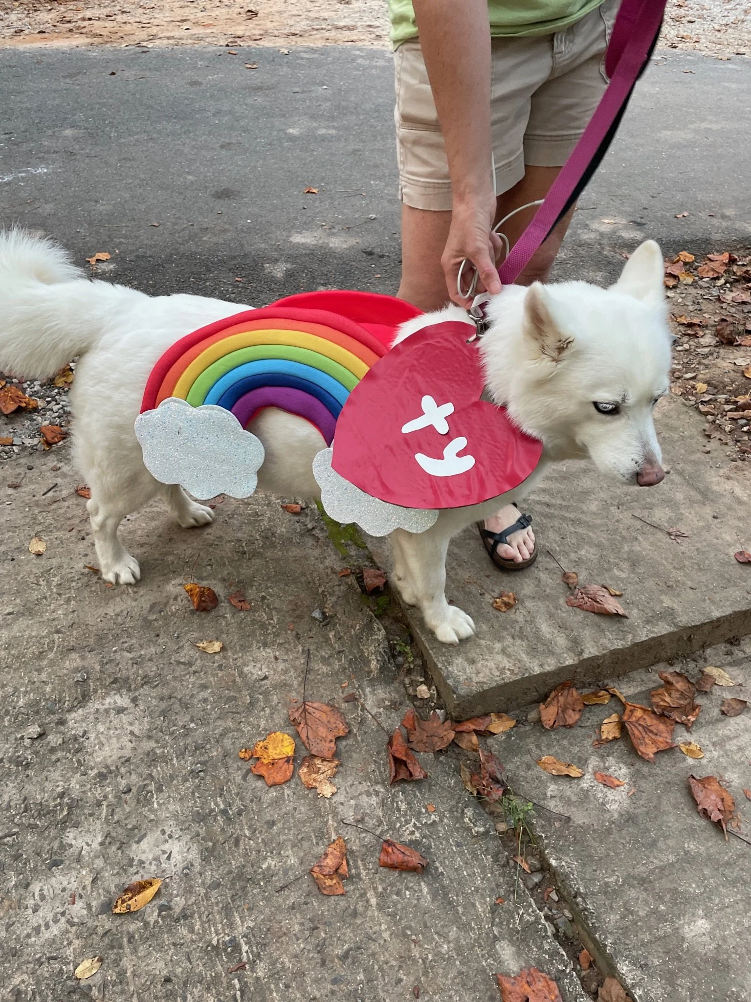 Reservation Policies — 4 Paws Kingdom