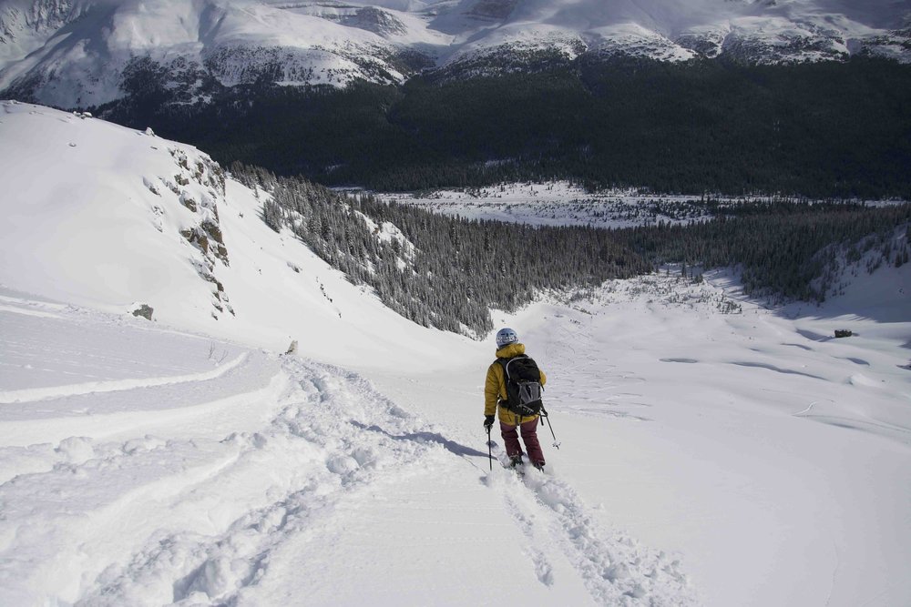 The Lodge At Bow Lake