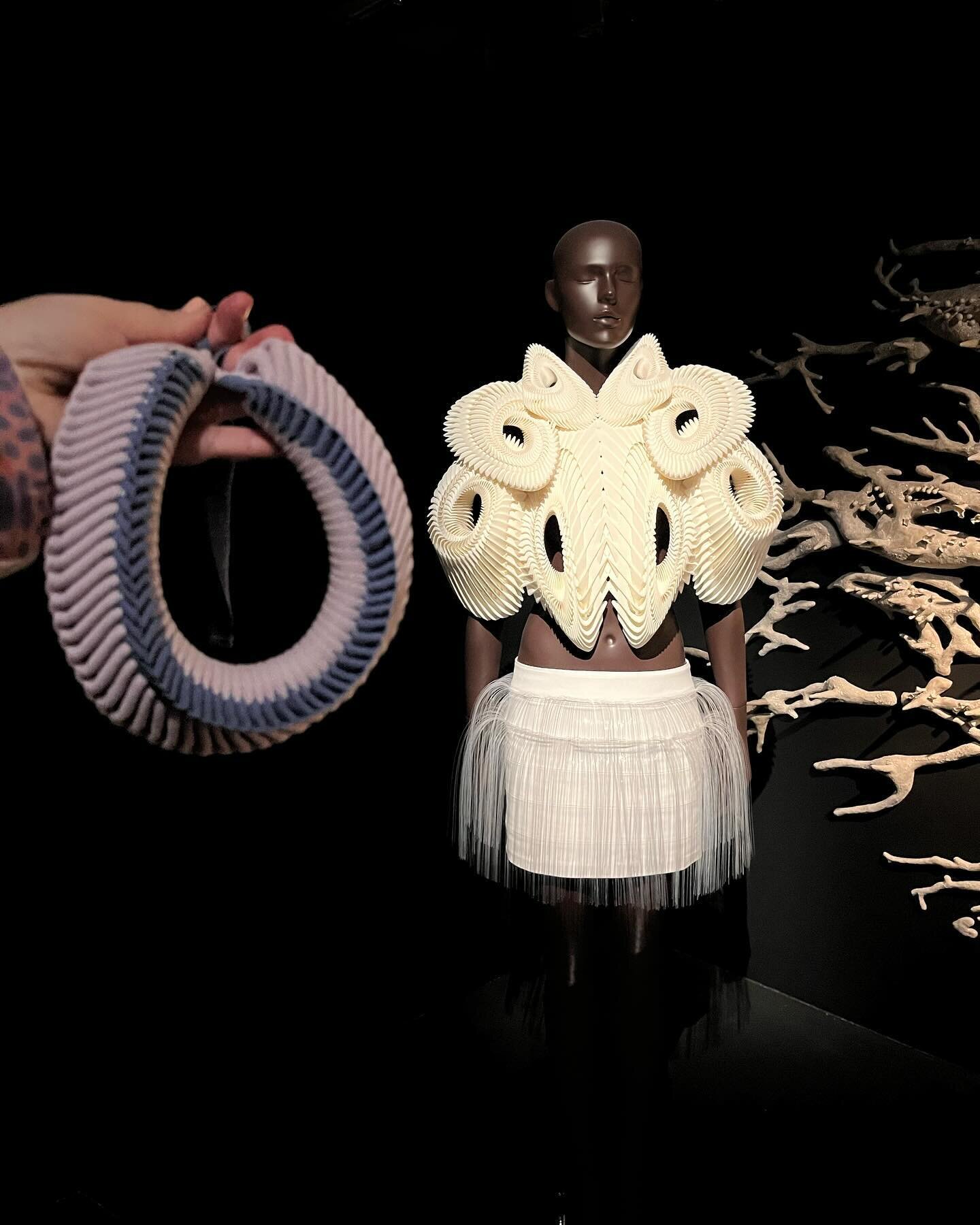 Reach For The Stars — Grace Lillian Lee