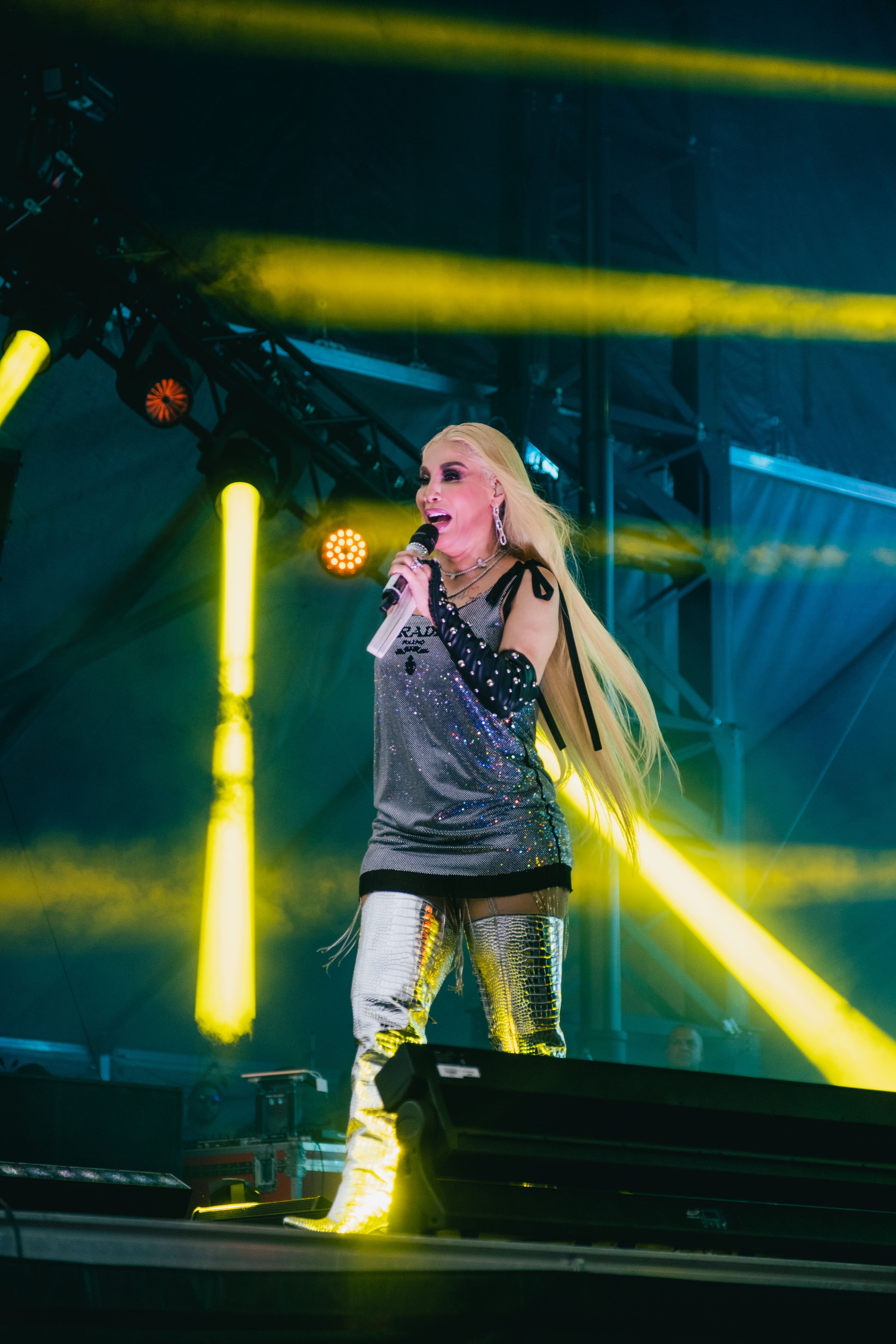 Miche Fest 2023 | Harrison Park, Chicago | June 24th, June 25th