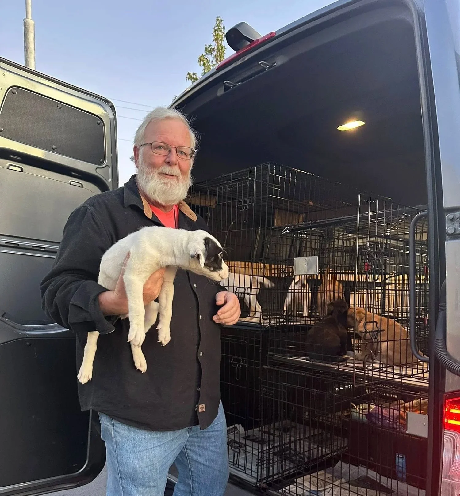 LaMa Animal Rescue