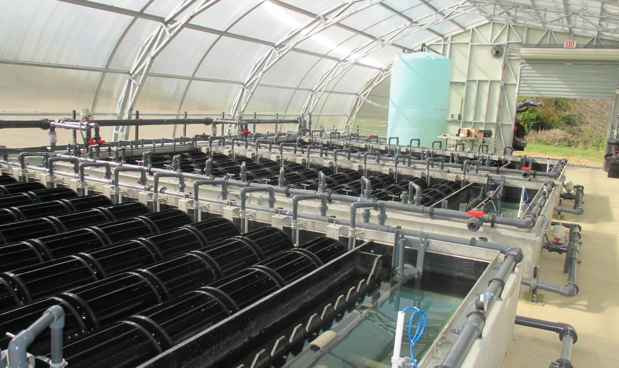 Contact us at Algaesys — Algaesys
